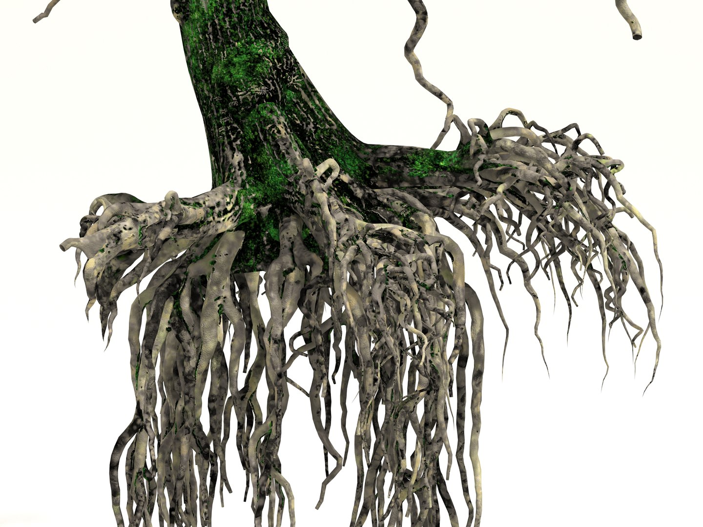 Old tree 3D model - TurboSquid 1591940
