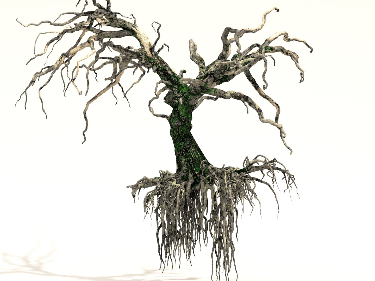 Old tree 3D model - TurboSquid 1591940