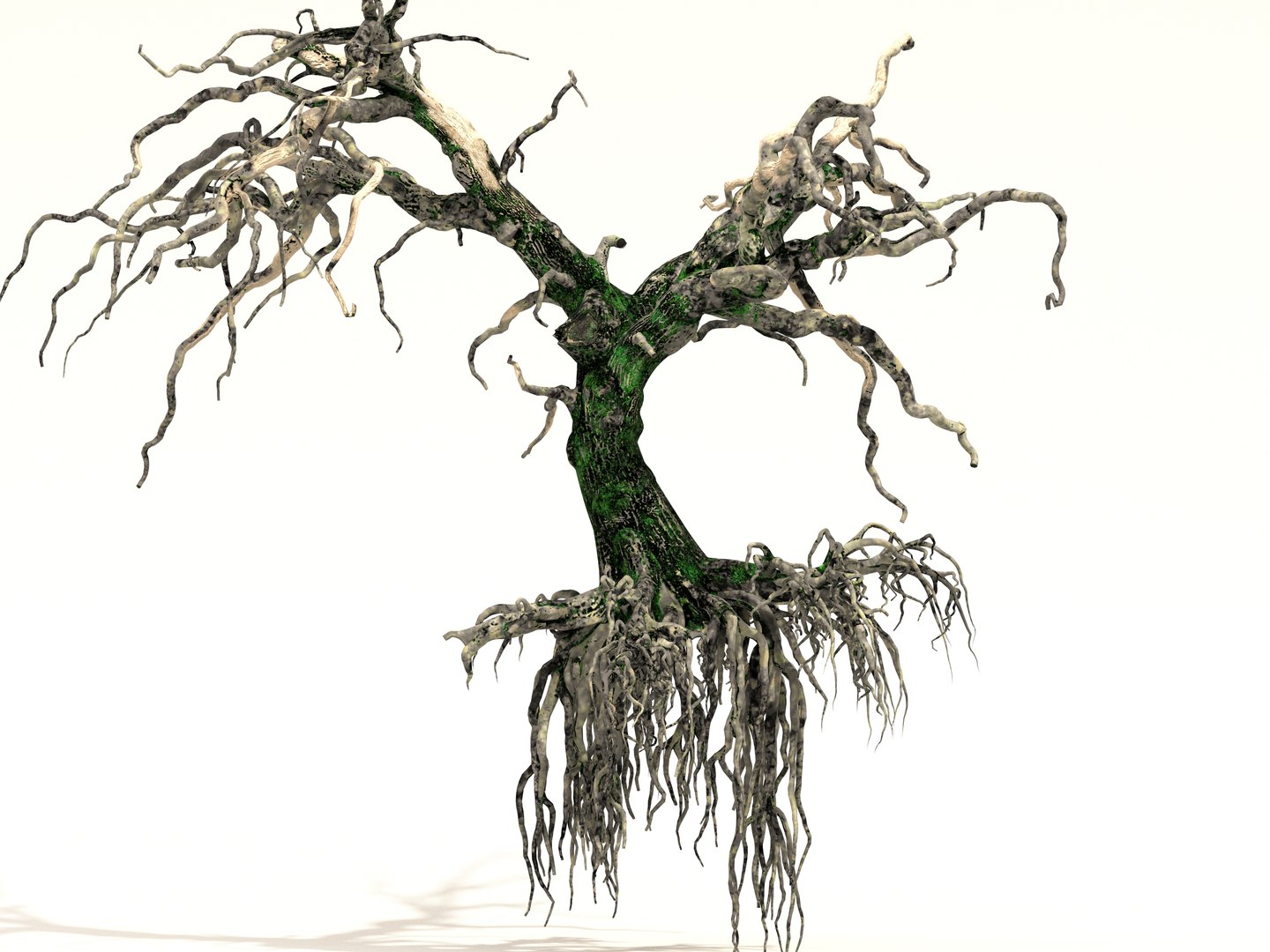 Old tree 3D model - TurboSquid 1591940