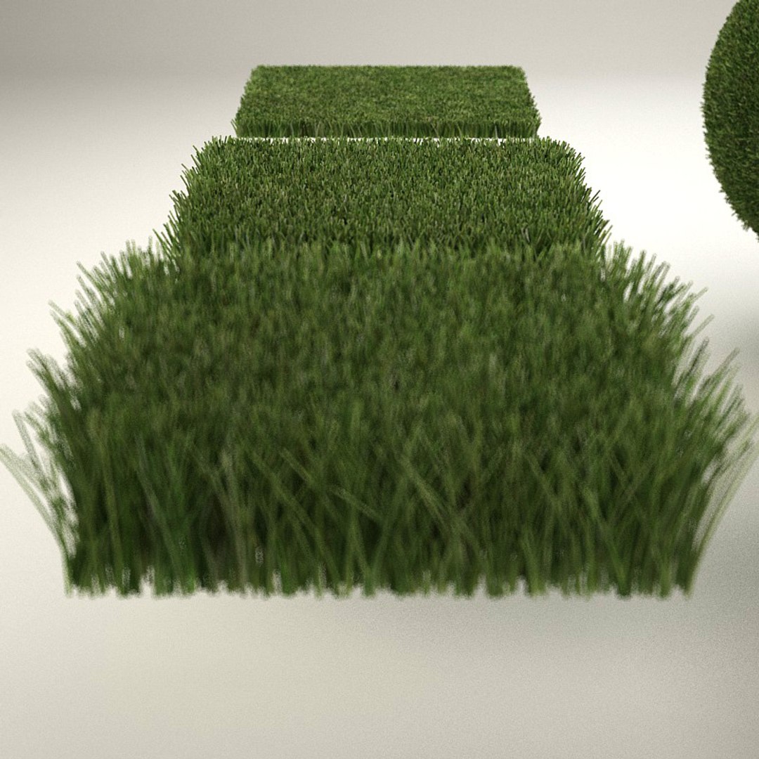 3d Grass