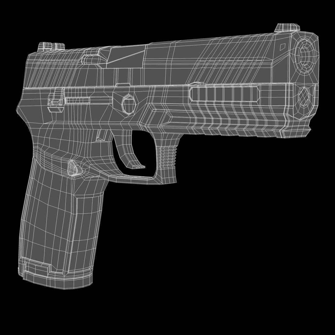 3d gun sig sauer