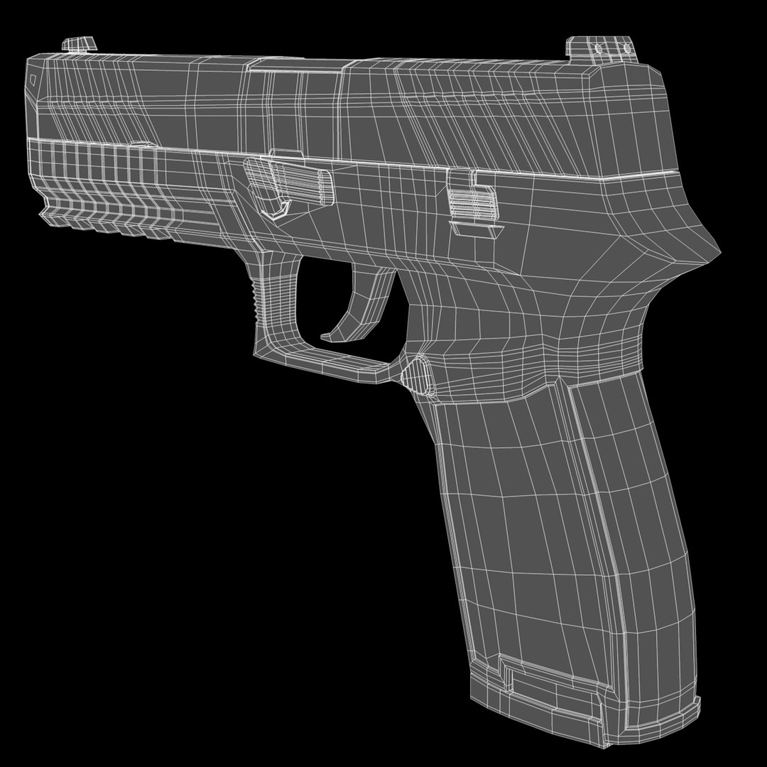 3d gun sig sauer