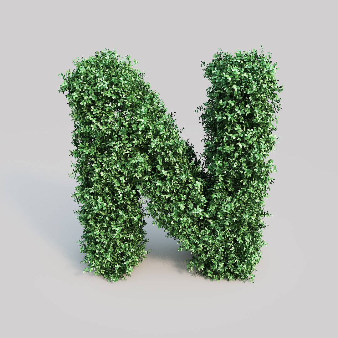 max alphabet n buxus
