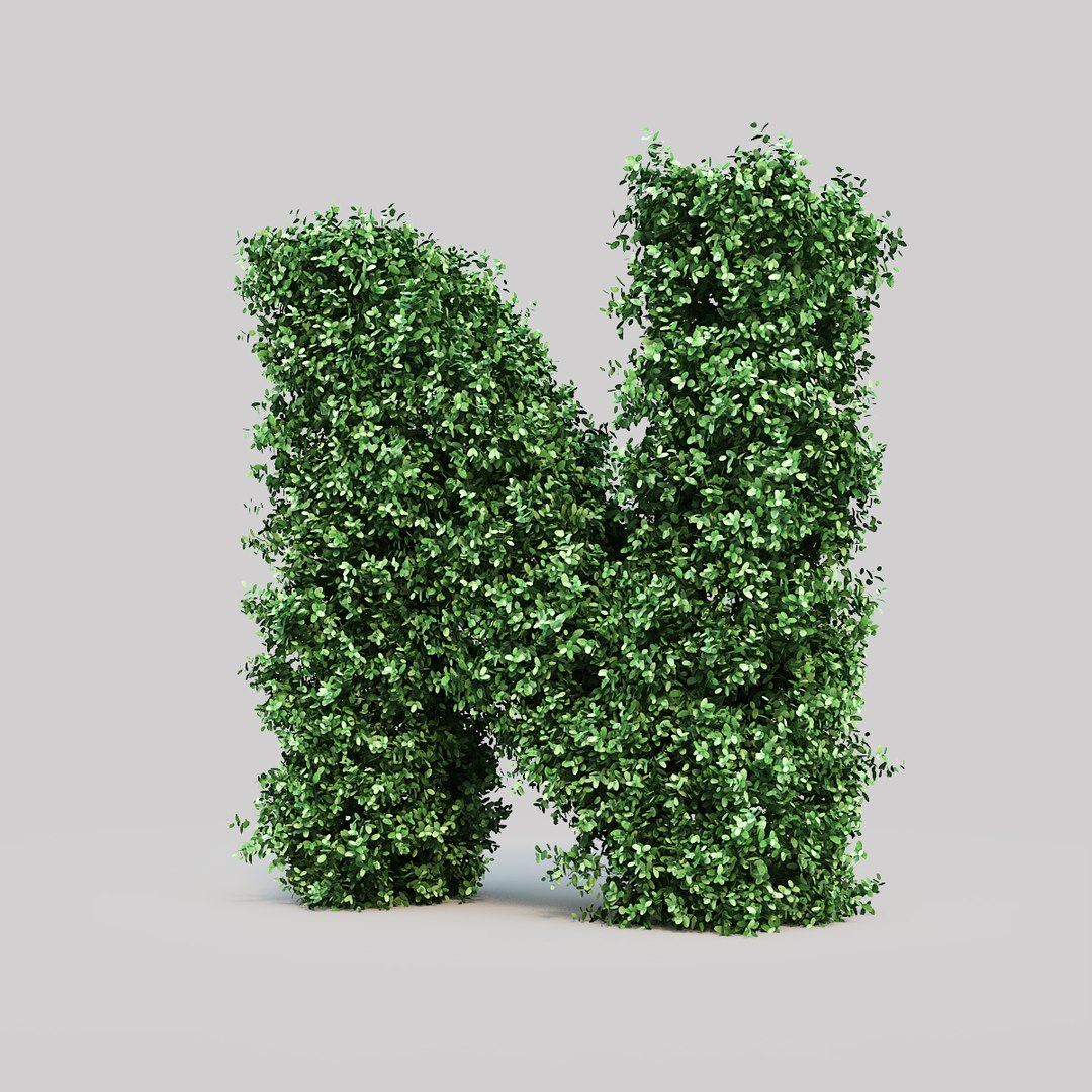 max alphabet n buxus