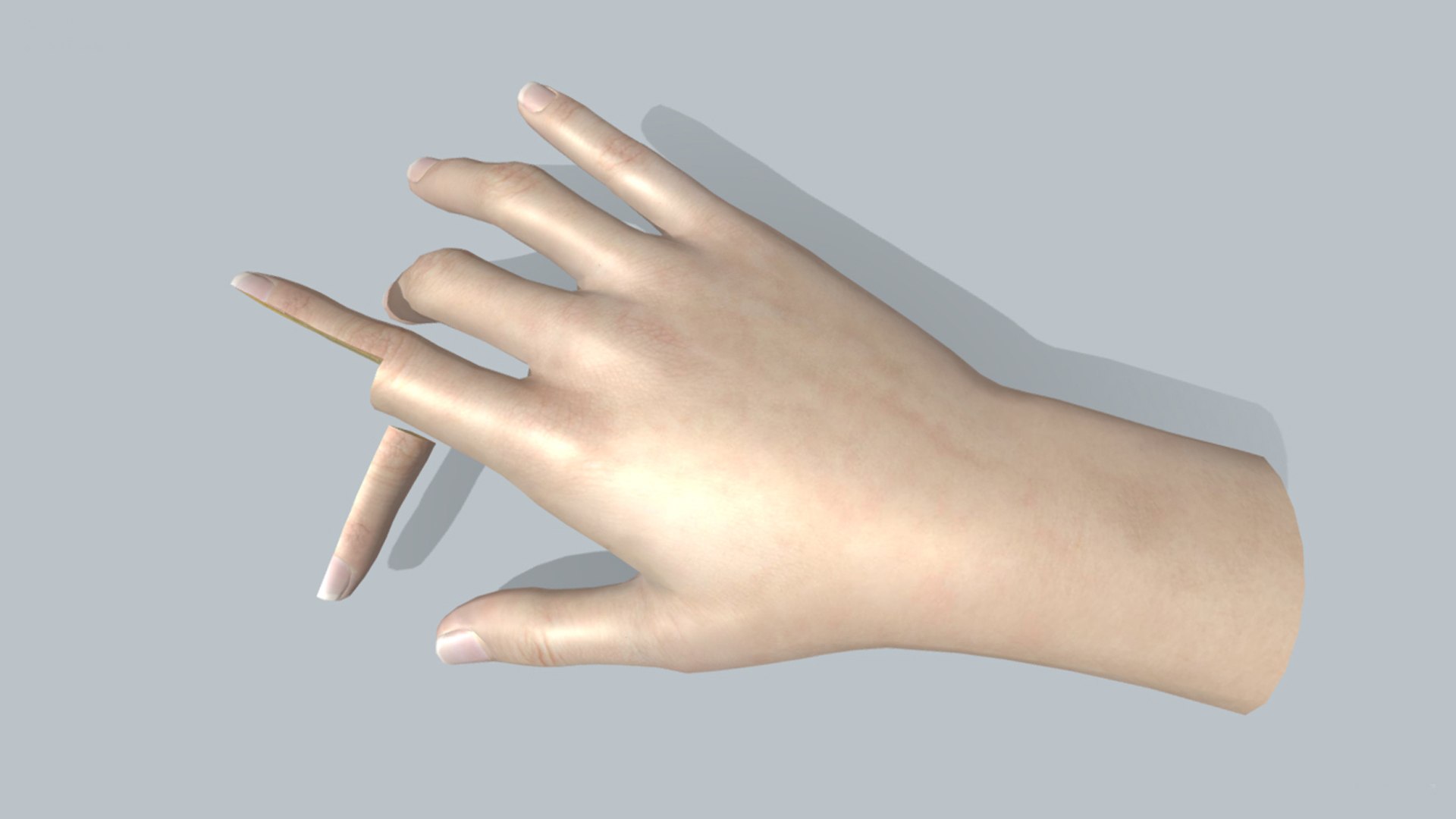 Human Finger Anatomy Cross Section 3D Model - TurboSquid 2300252
