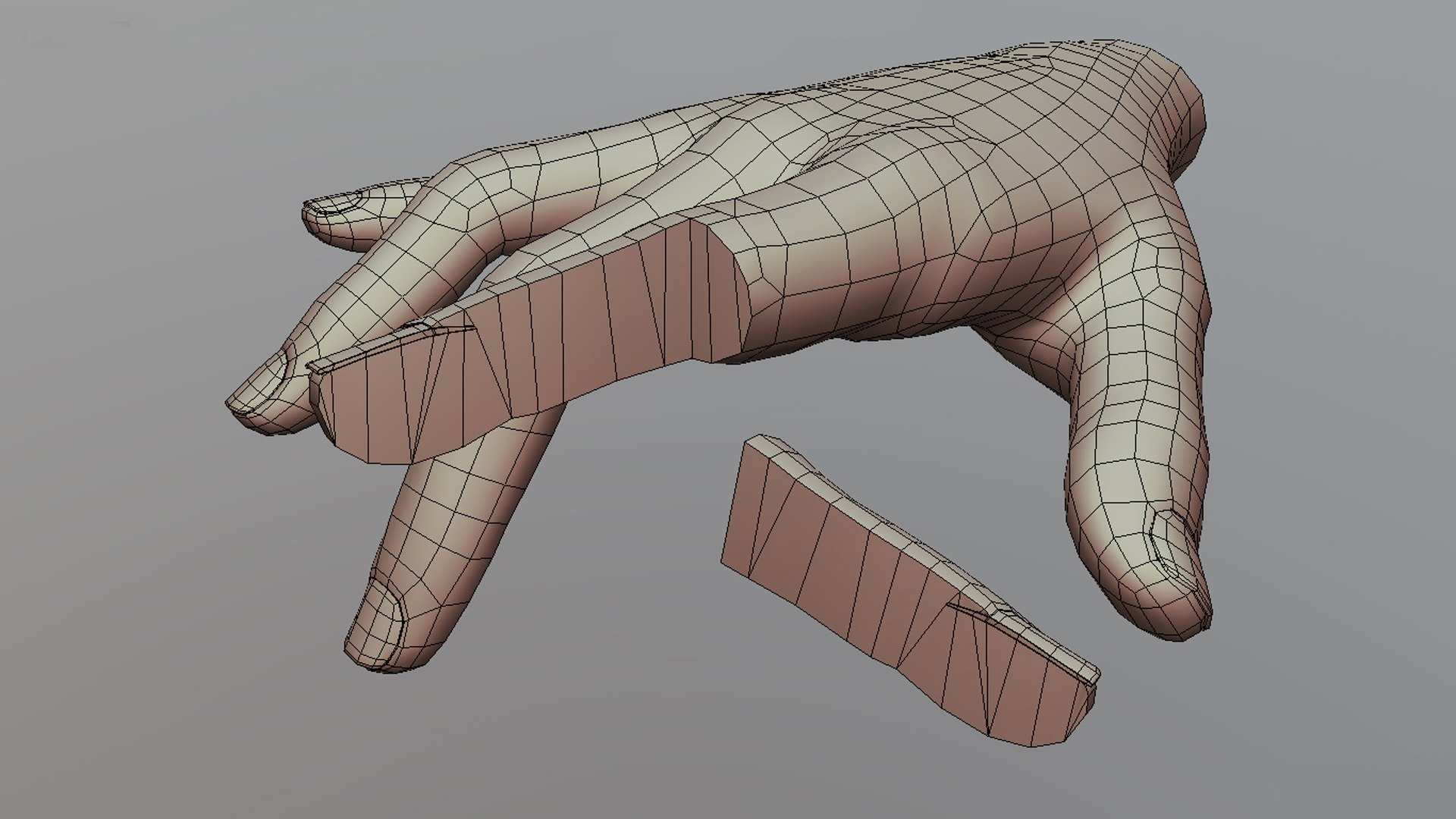 Human Finger Anatomy Cross Section 3D Model - TurboSquid 2300252