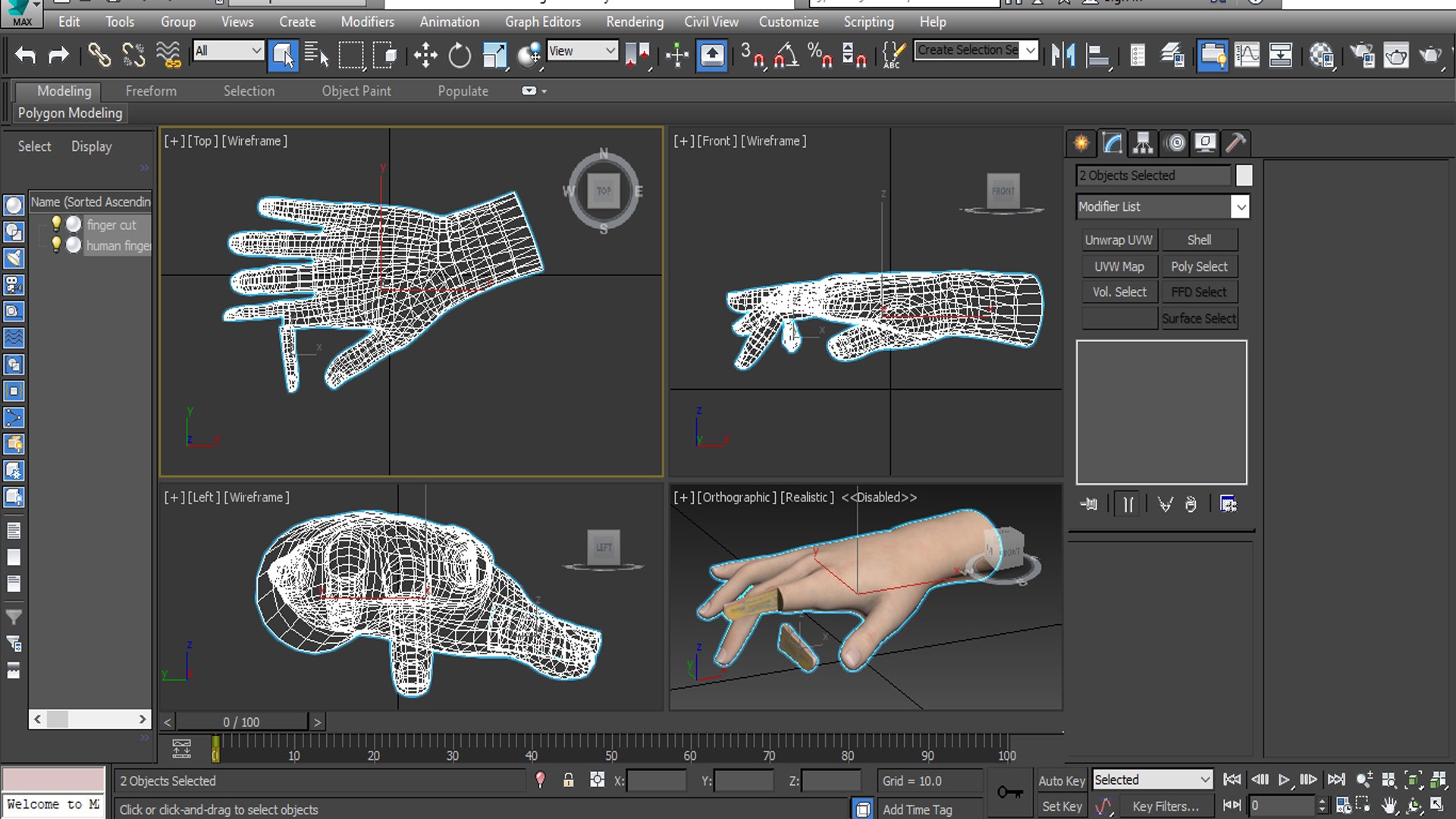 Human Finger Anatomy Cross Section 3D Model - TurboSquid 2300252