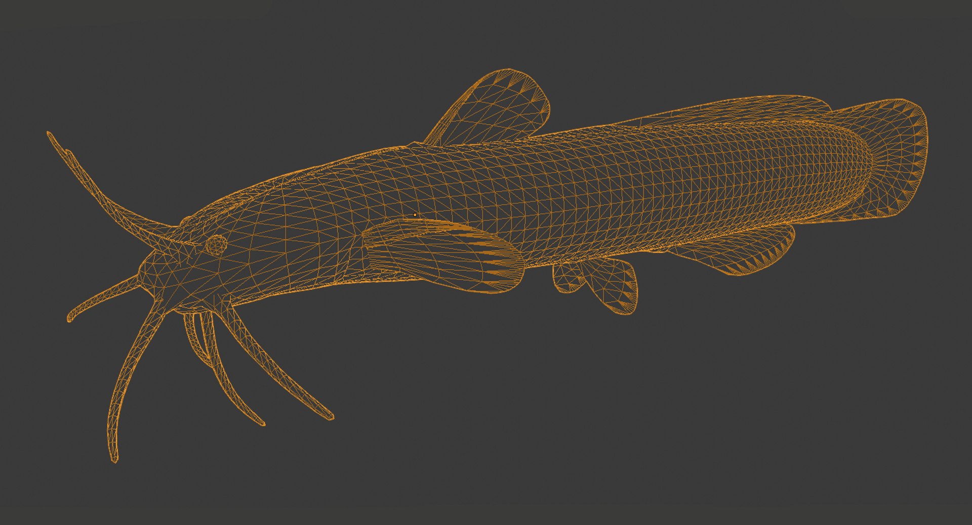 3d Model Liobagrus Akaza