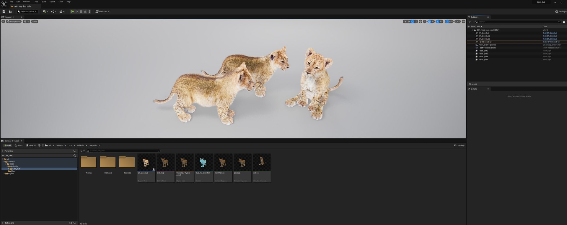 Lion Cub Rig UNREAL Project Plus Maya Base Rig Model - TurboSquid 2341957