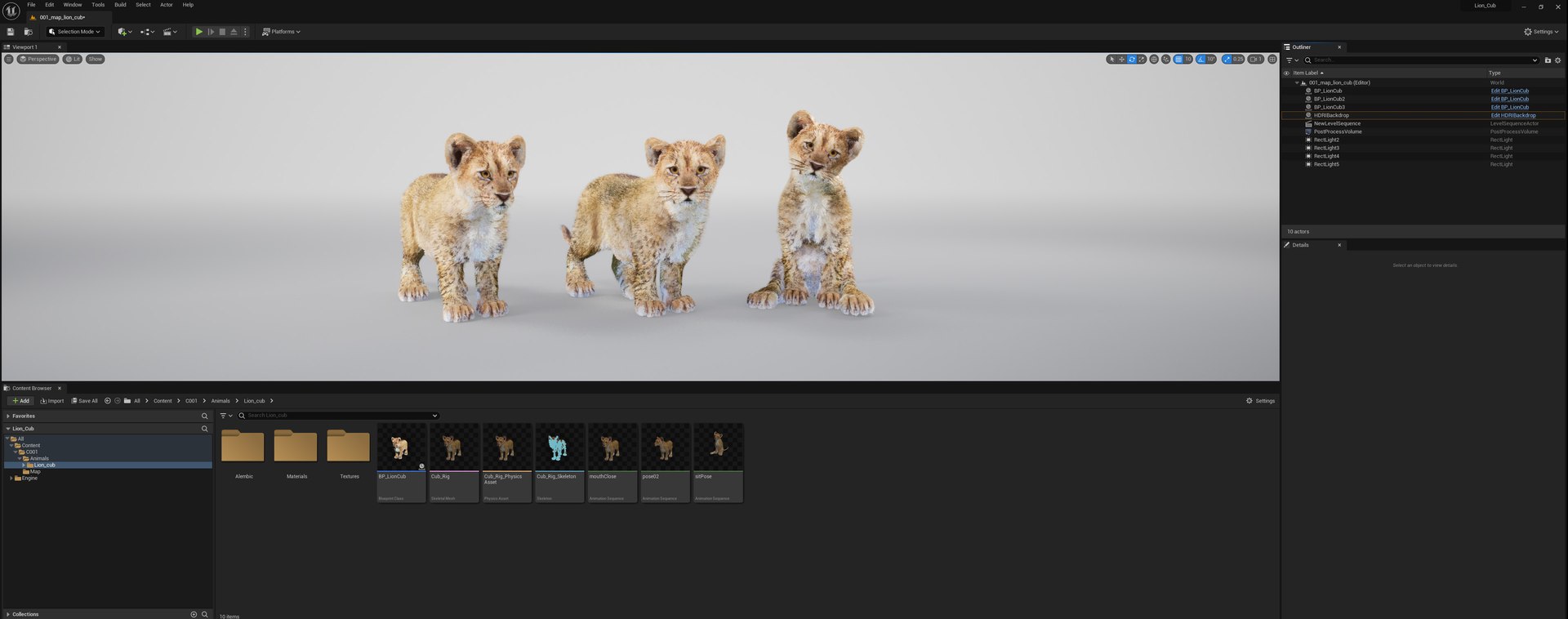 Lion Cub Rig UNREAL Project Plus Maya Base Rig Model - TurboSquid 2341957