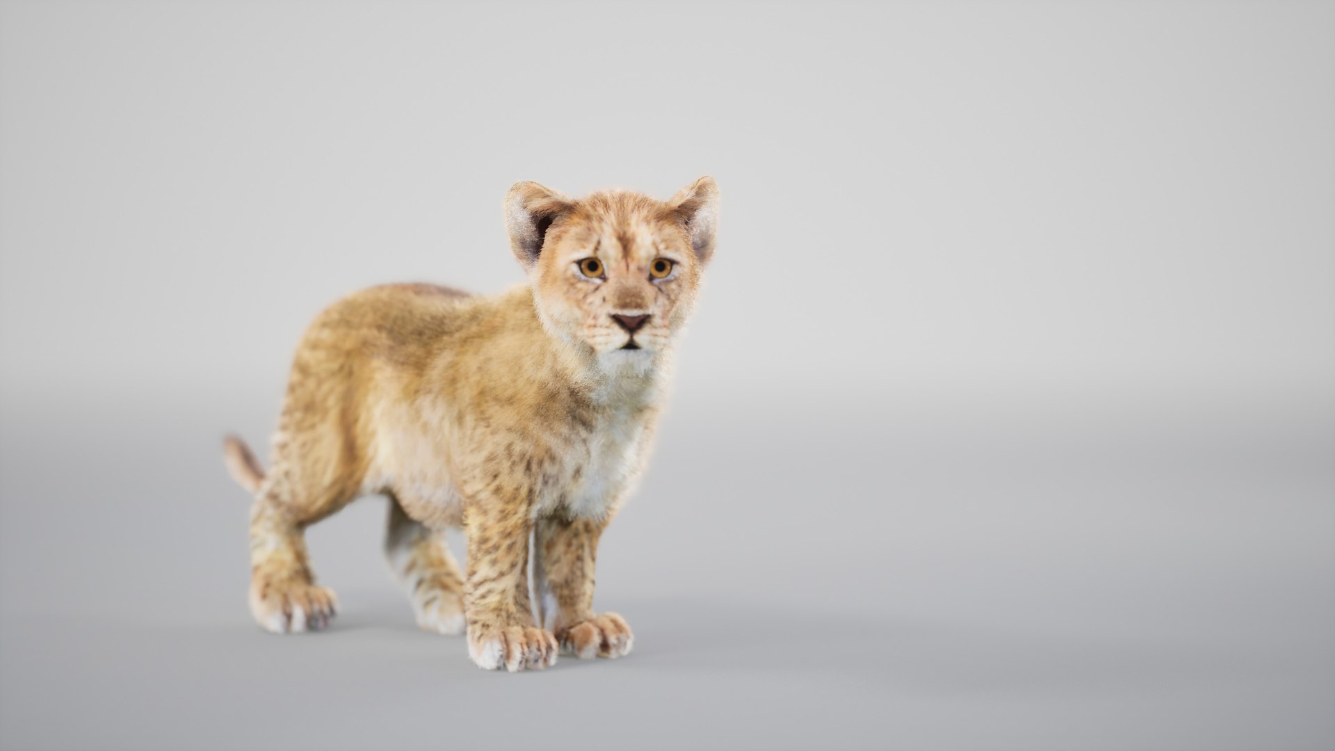 Lion Cub Rig UNREAL Project Plus Maya Base Rig Model - TurboSquid 2341957