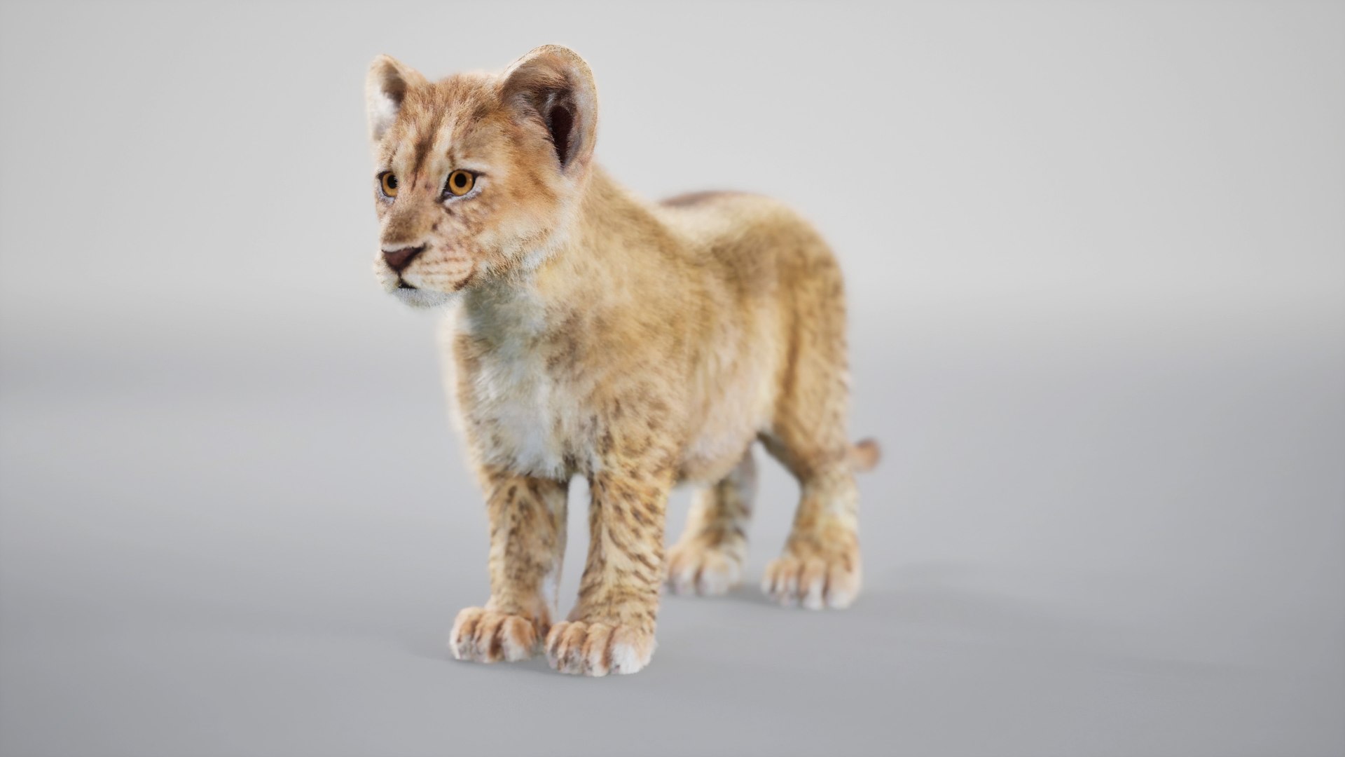 Lion Cub Rig UNREAL Project Plus Maya Base Rig Model - TurboSquid 2341957