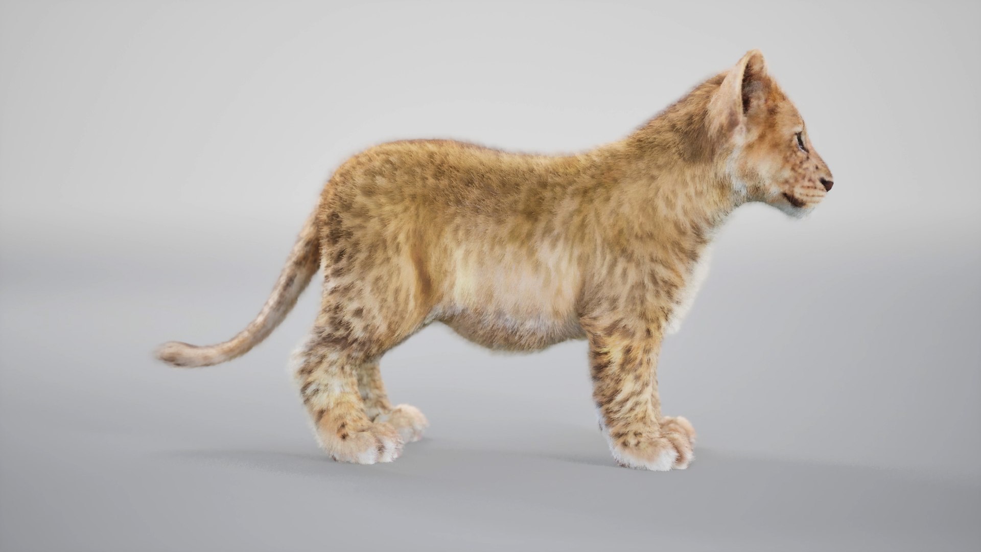 Lion Cub Rig UNREAL Project Plus Maya Base Rig Model - TurboSquid 2341957