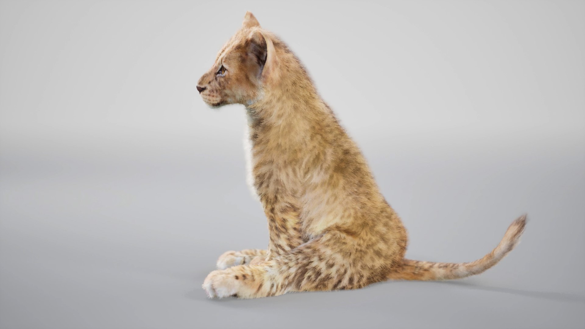 Lion Cub Rig UNREAL Project Plus Maya Base Rig Model - TurboSquid 2341957