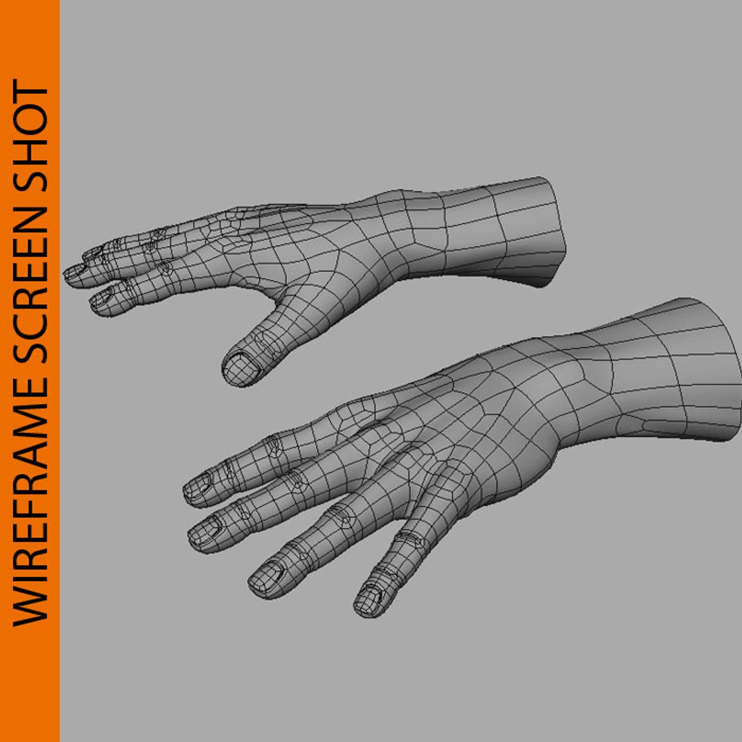 3d Human Male Feet Hand Model
