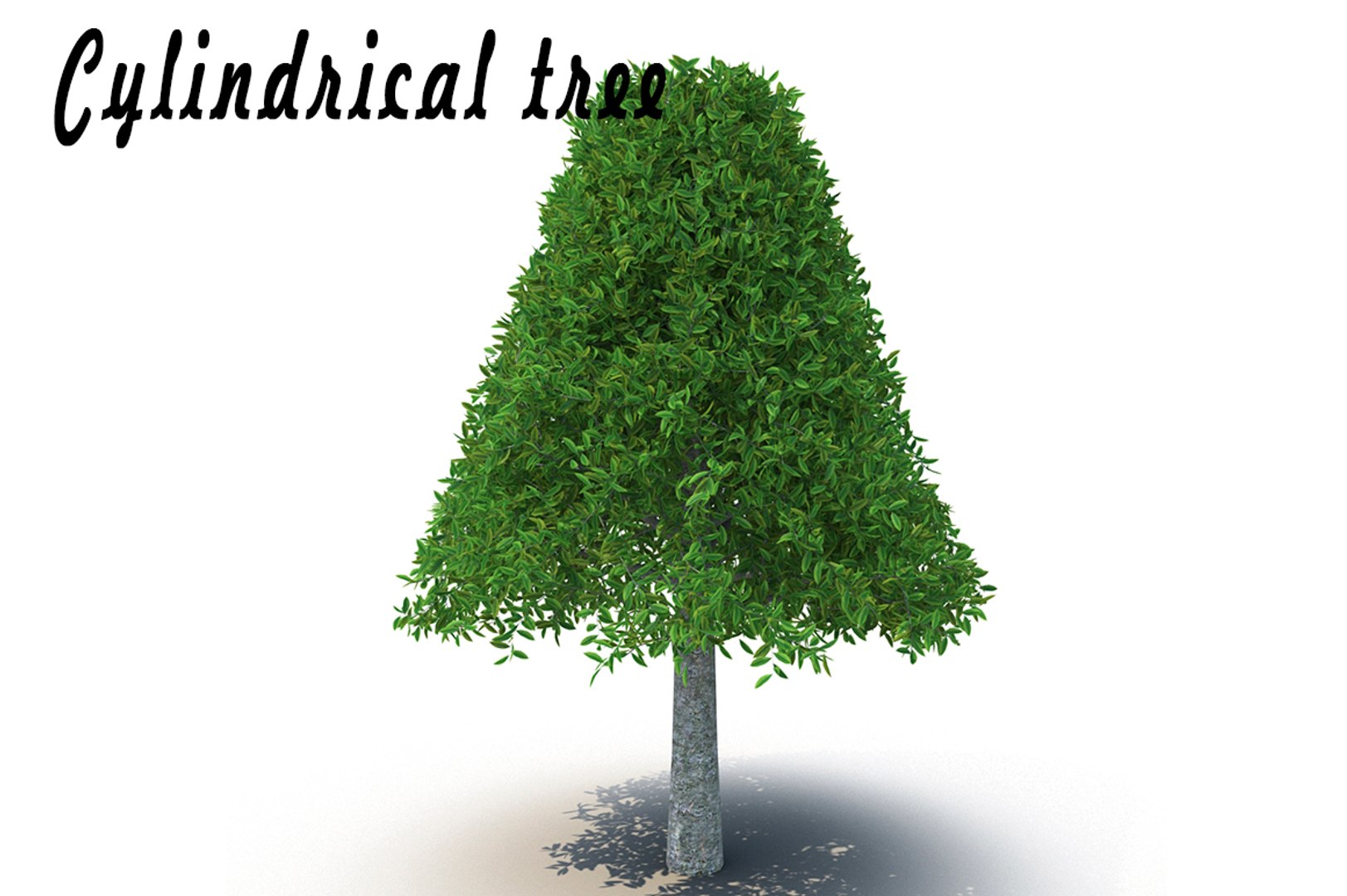tree 3d max