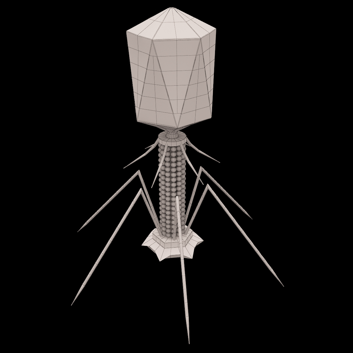 3D 3D Studio Bacteriophage Science medical