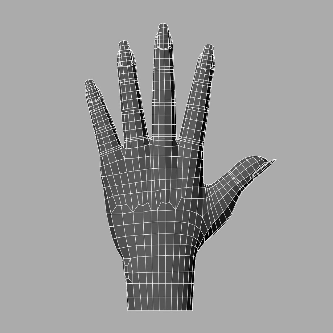 Female Hand 3d Obj