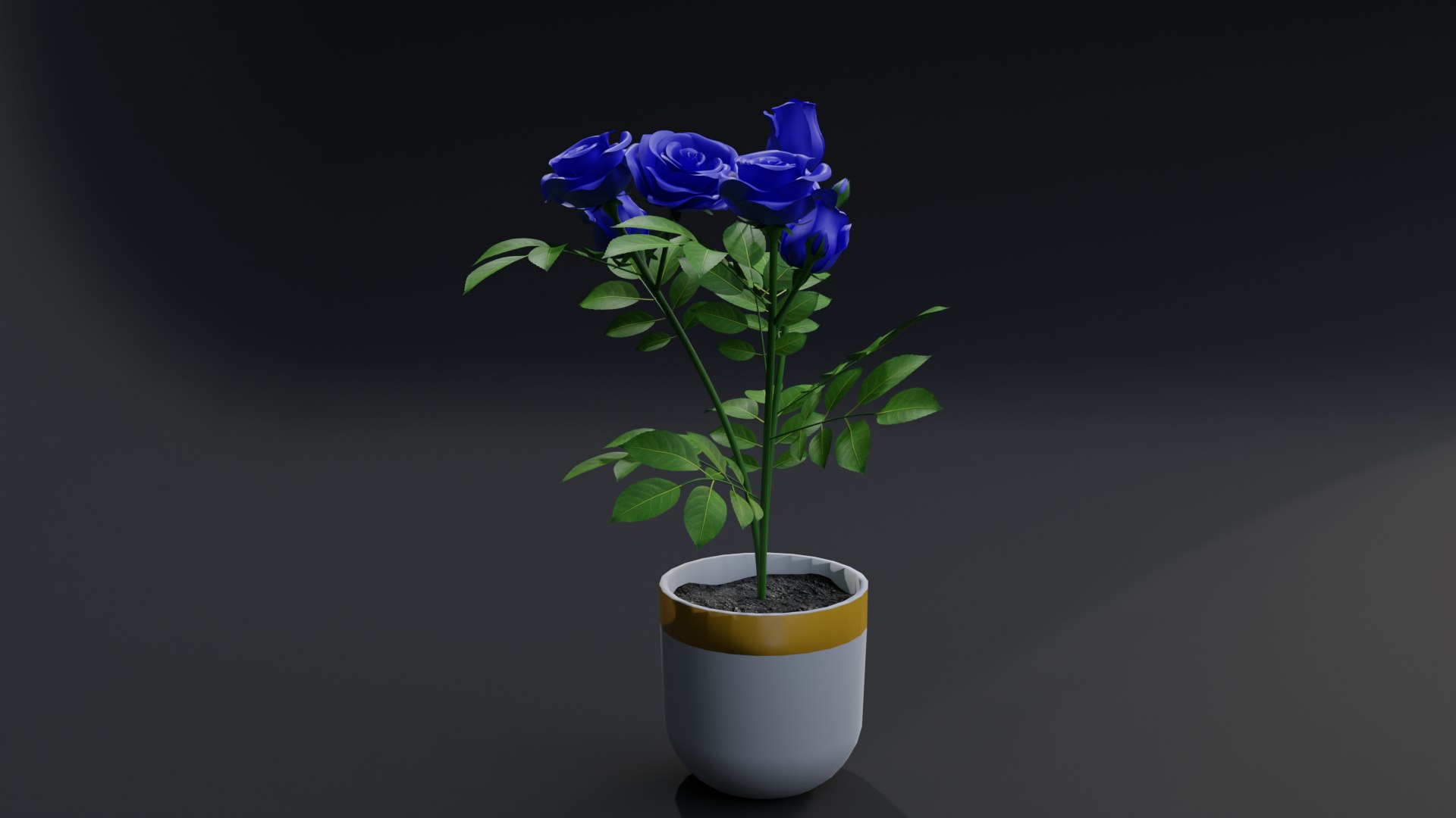 3D Small Rose Plant - TurboSquid 2072348
