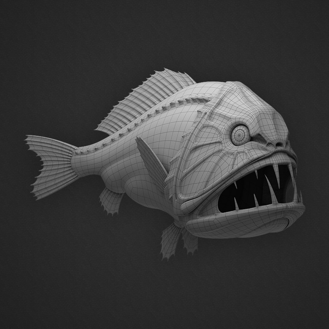 Max Fangtooth Fish