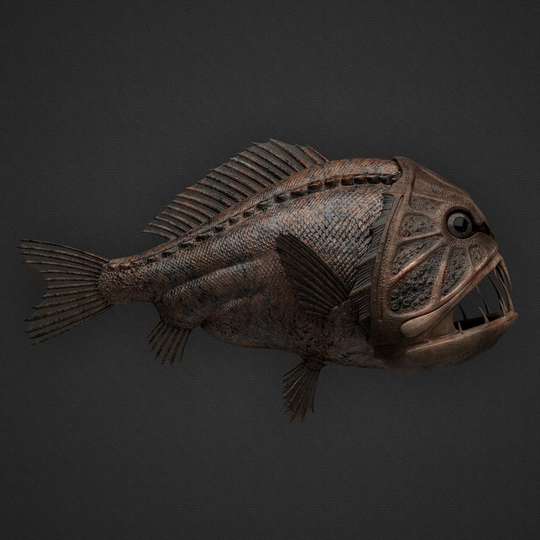 Max Fangtooth Fish