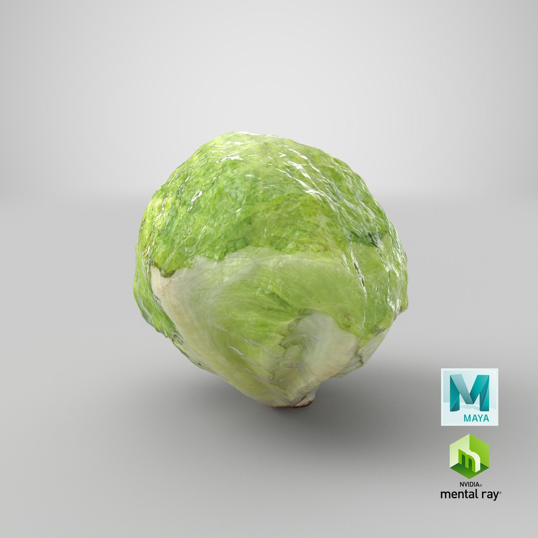 Lettuce 03 With Wrap 3D - TurboSquid 1841324