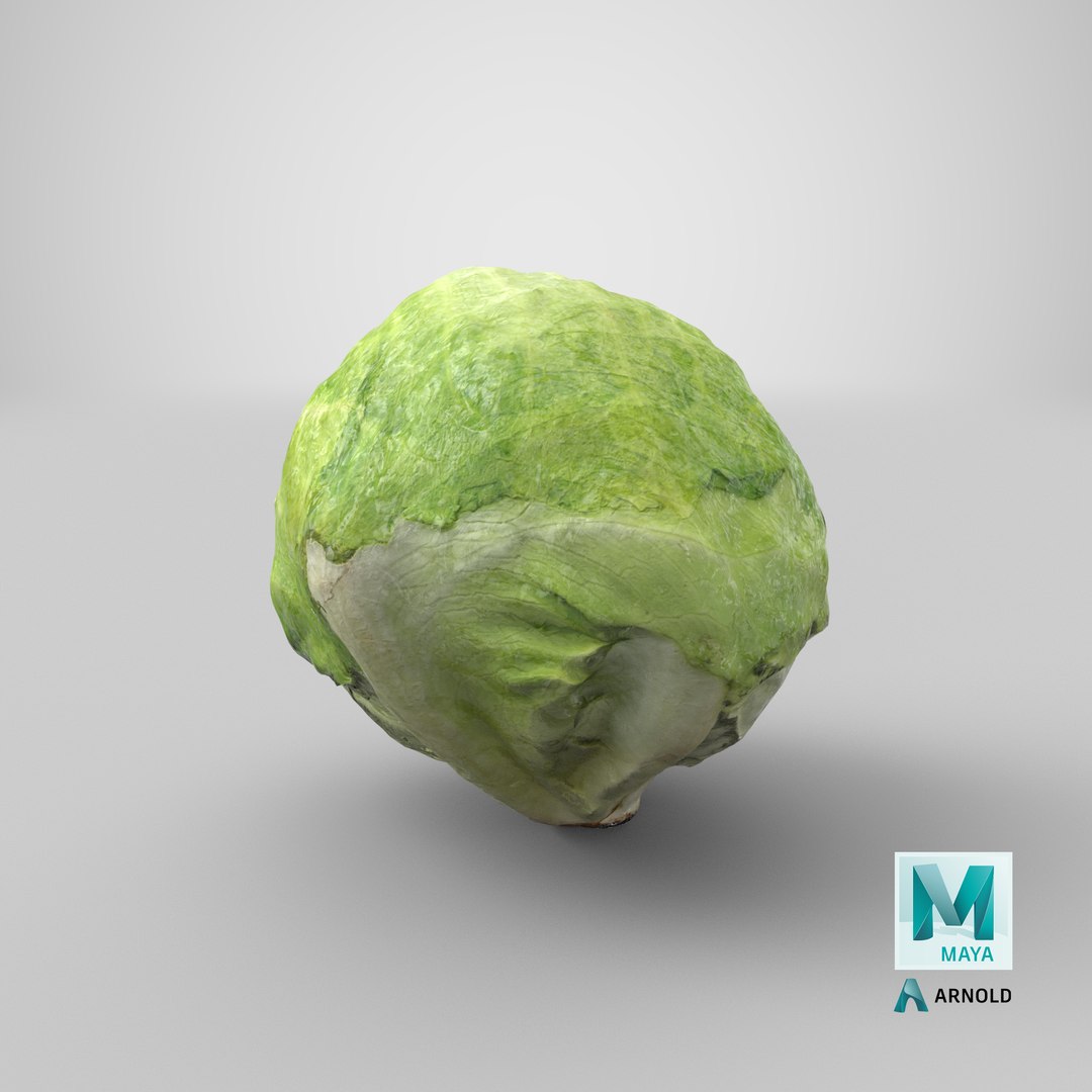 Lettuce 03 With Wrap 3D - TurboSquid 1841324