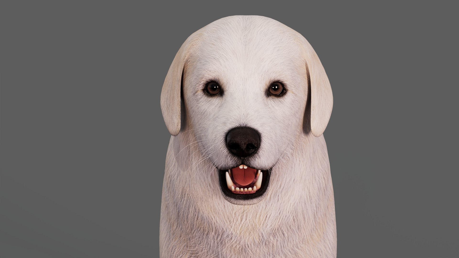 Great Pyrenees Dog 3D Model - TurboSquid 2518066