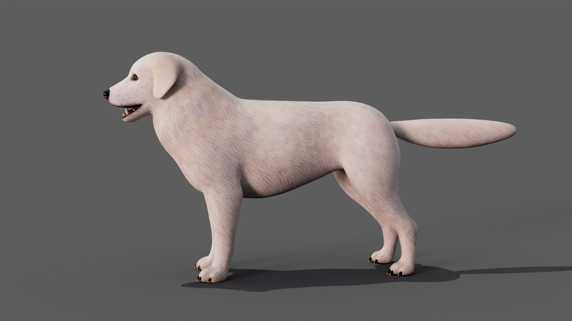 Great Pyrenees Dog 3D Model - TurboSquid 2518066