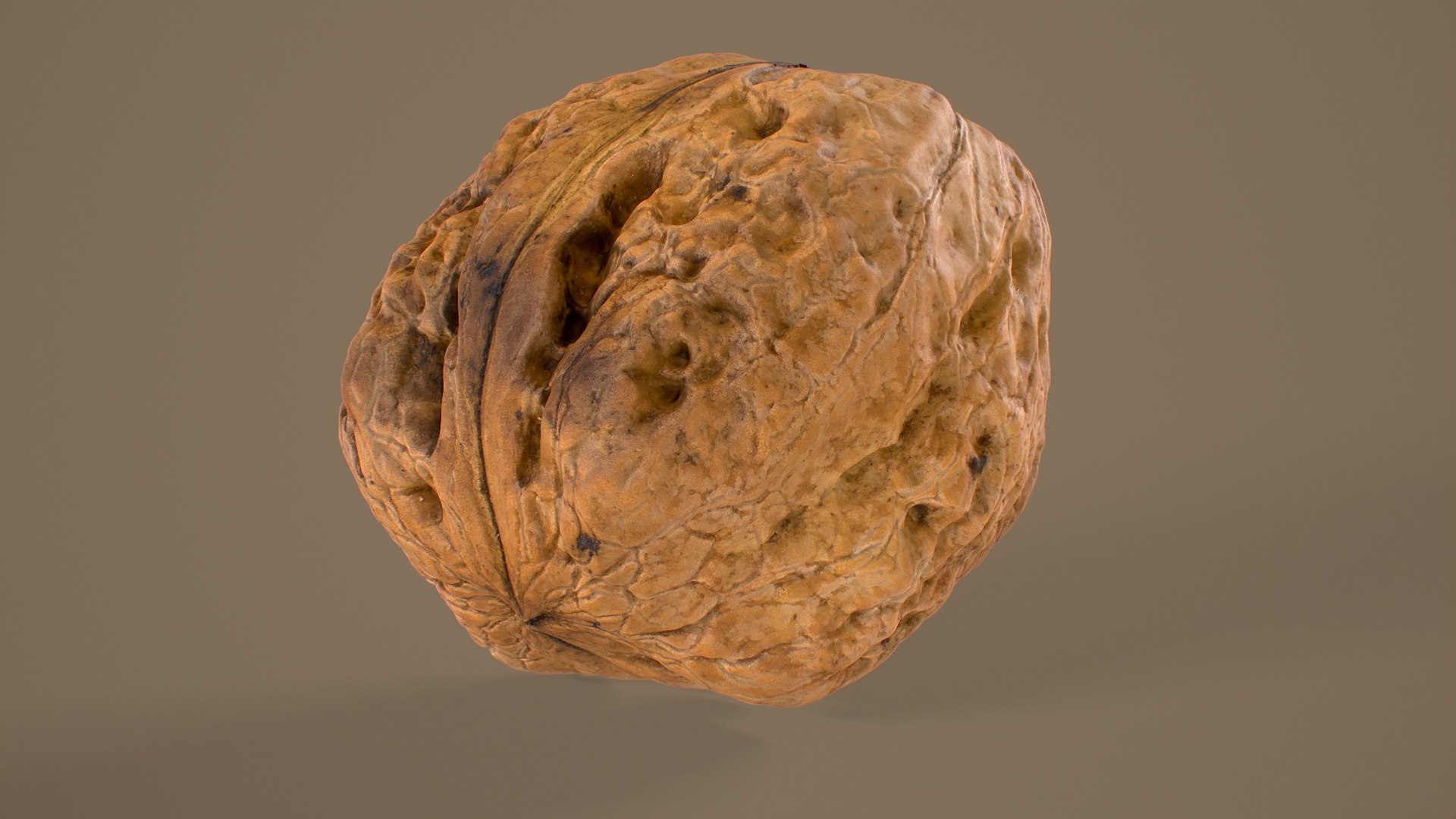3D Walnut - TurboSquid 1810739