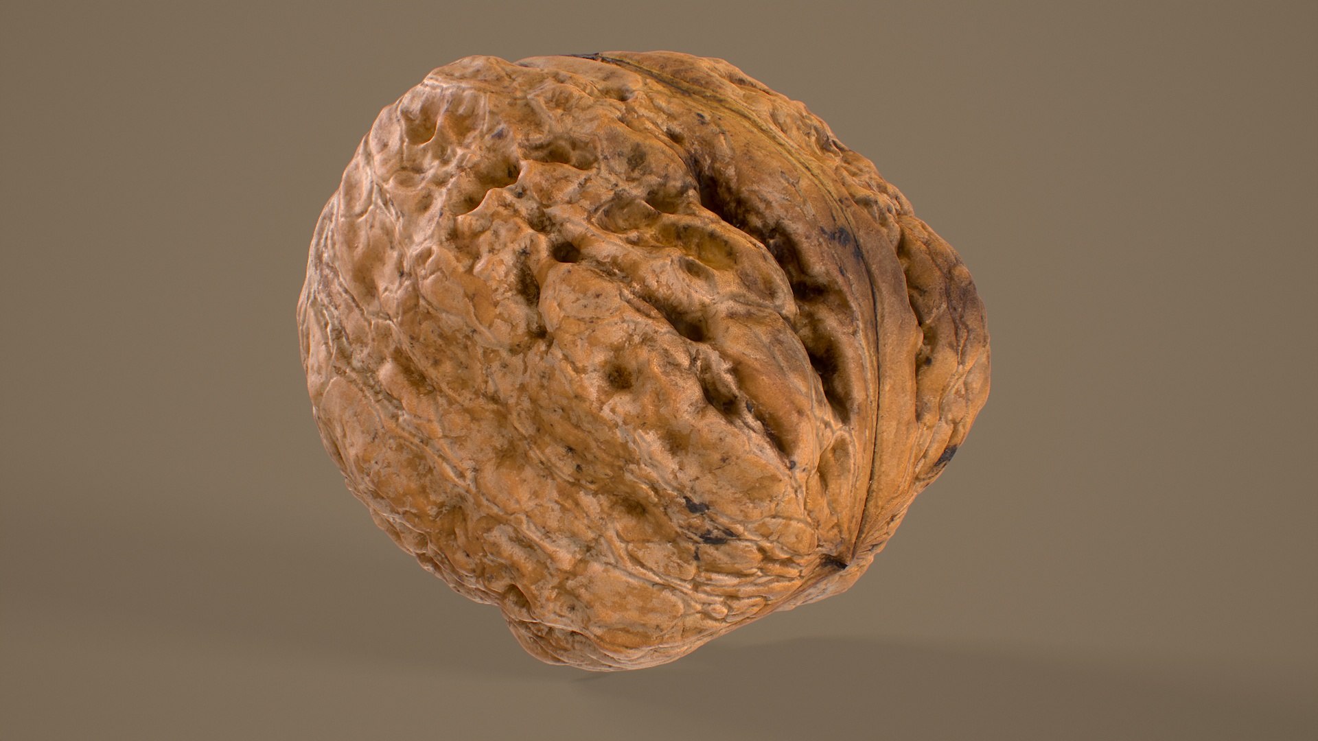 3D Walnut - TurboSquid 1810739