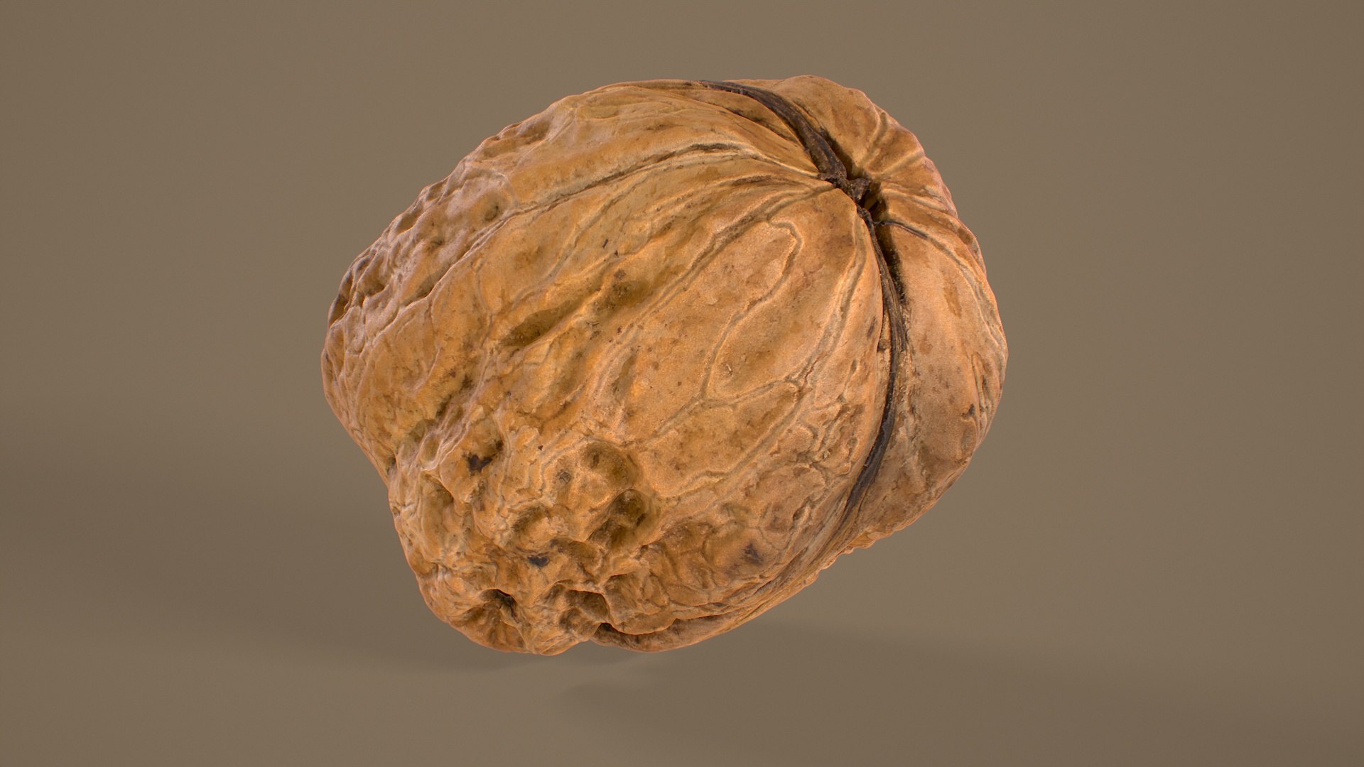 3D Walnut - TurboSquid 1810739
