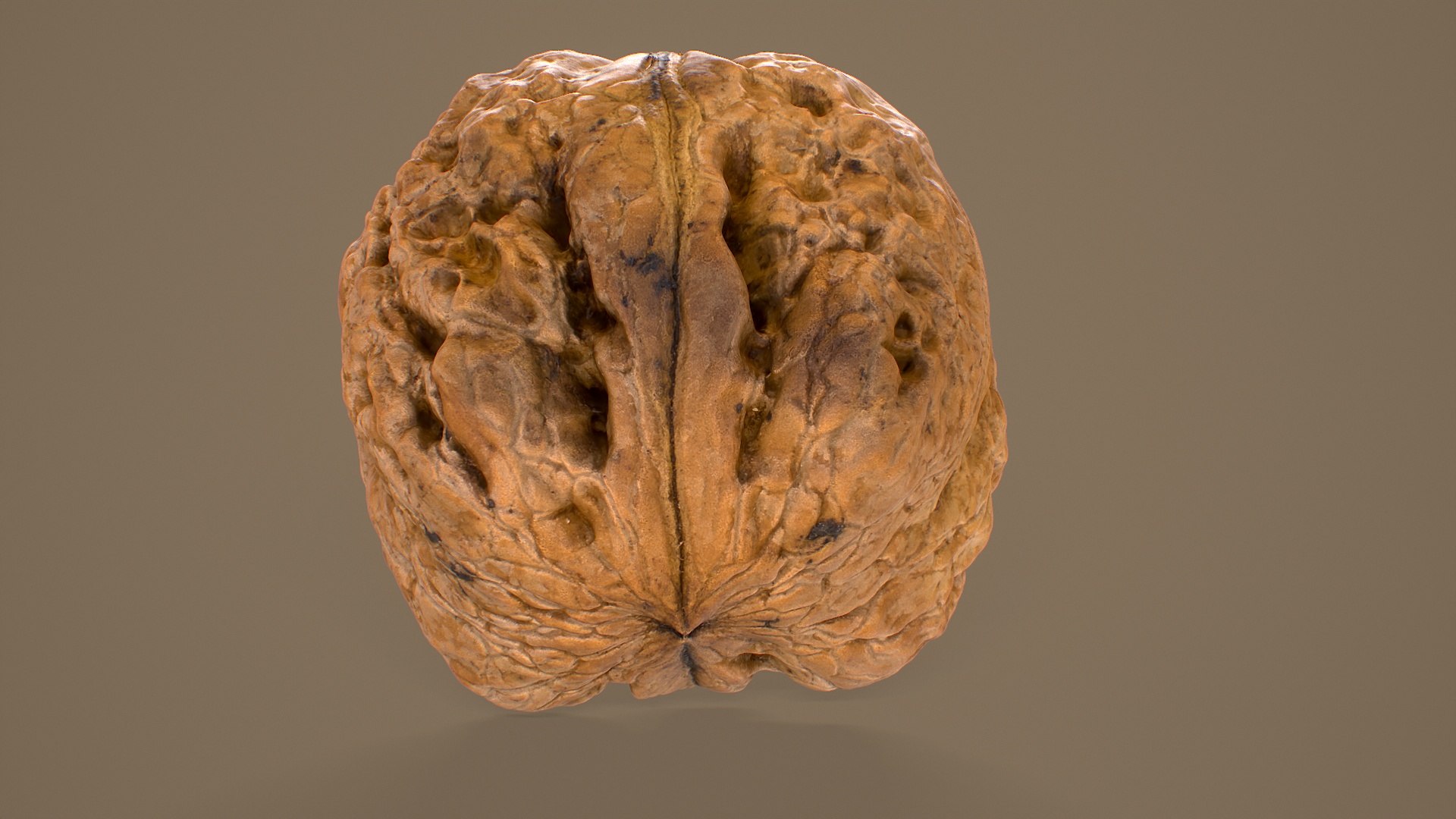 3D Walnut - TurboSquid 1810739