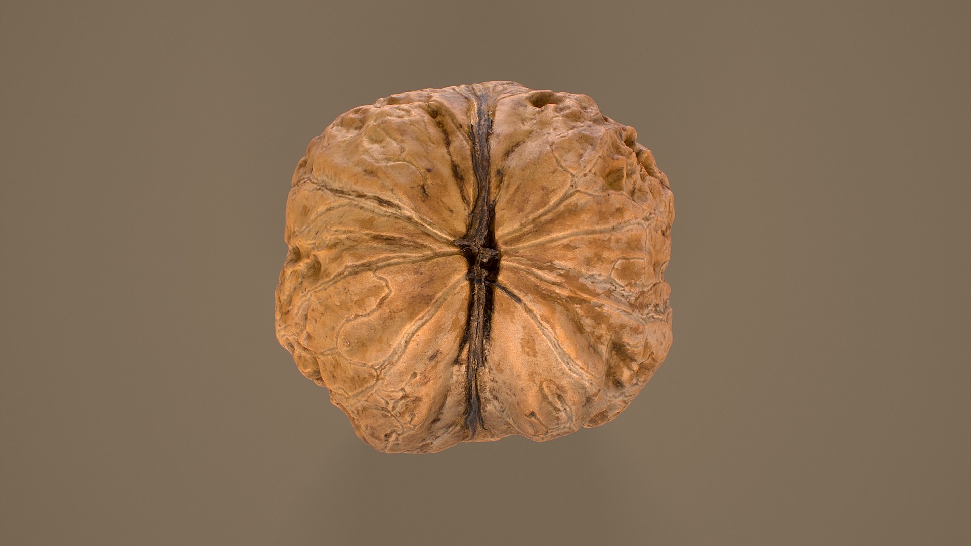 3D Walnut - TurboSquid 1810739