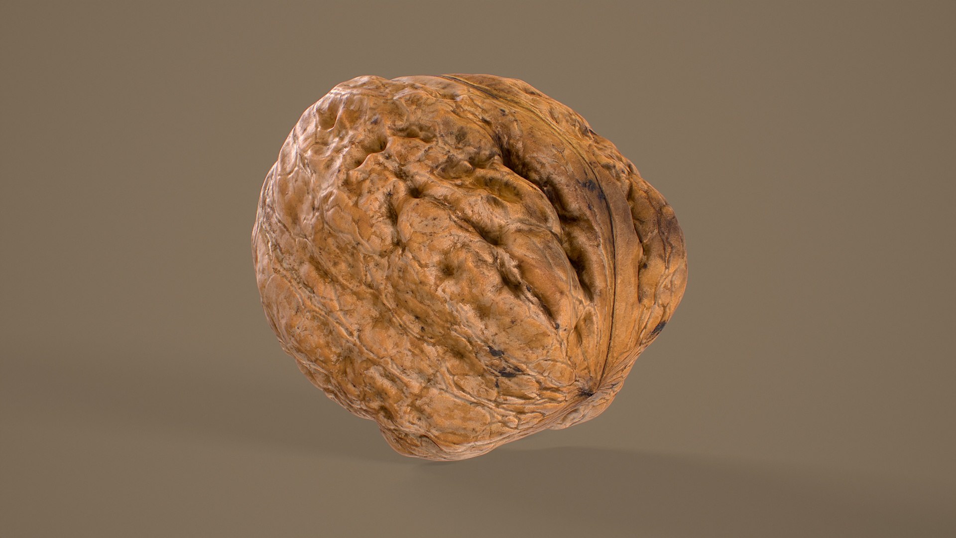 3D Walnut - TurboSquid 1810739