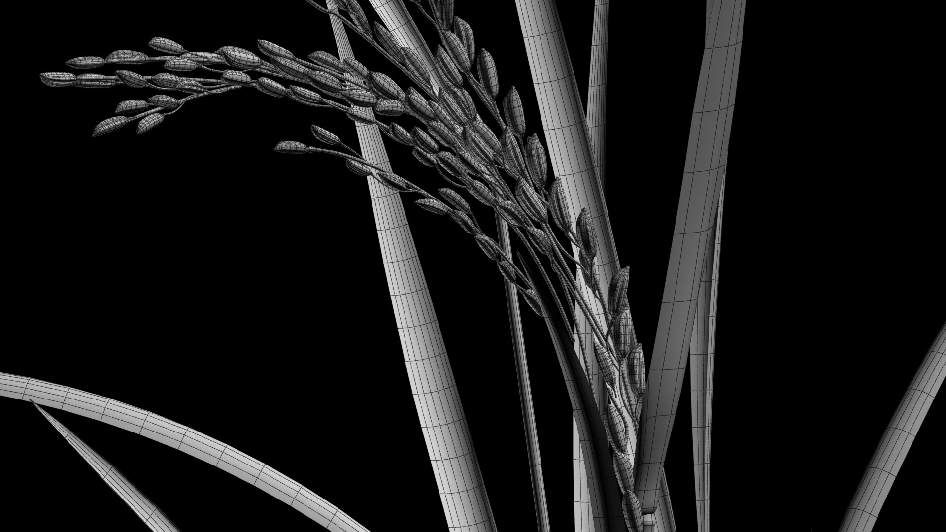 3D PADDY PLANT OPTION 8 FINAL 2012 Model - TurboSquid 1855408