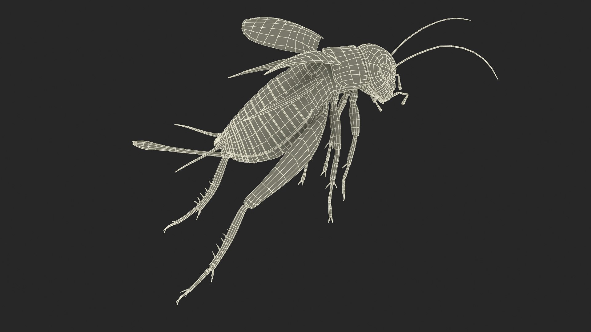 3D Field Cricket Jumping Model - TurboSquid 2248534