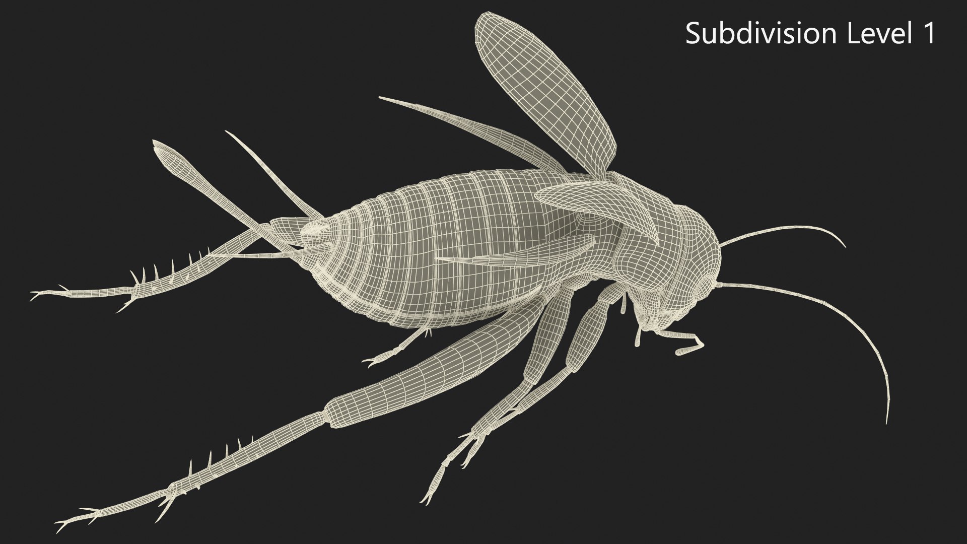 3D Field Cricket Jumping Model - TurboSquid 2248534