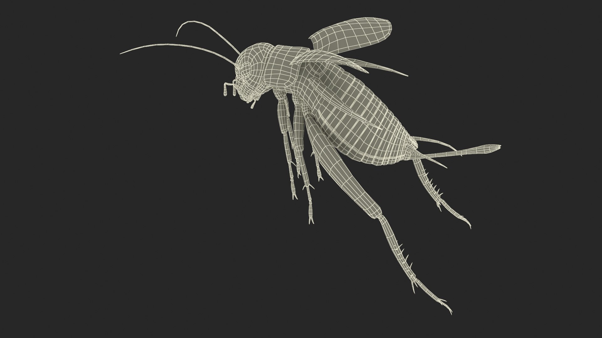 3D Field Cricket Jumping Model - TurboSquid 2248534