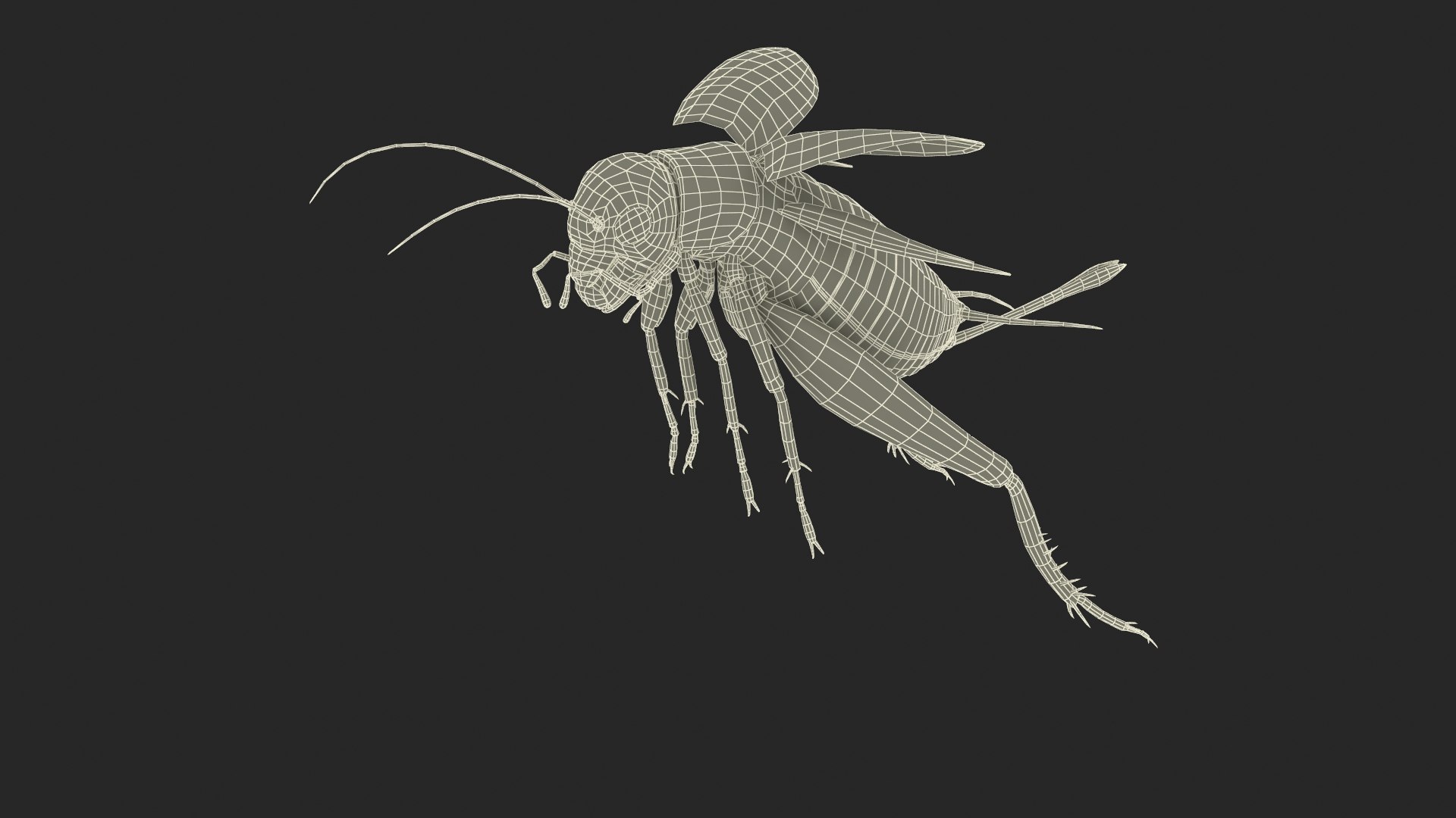 3D Field Cricket Jumping Model - TurboSquid 2248534
