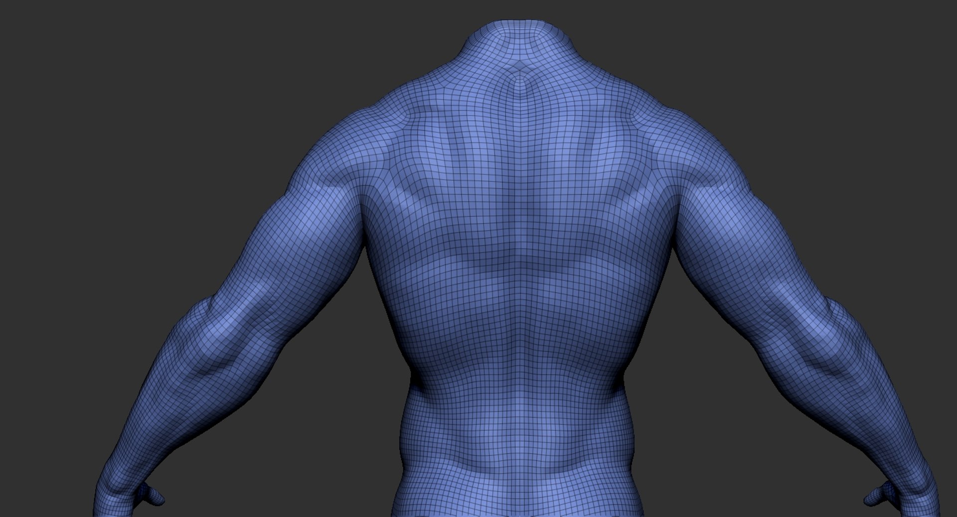 3D human muscular body 2019 - TurboSquid 1440042