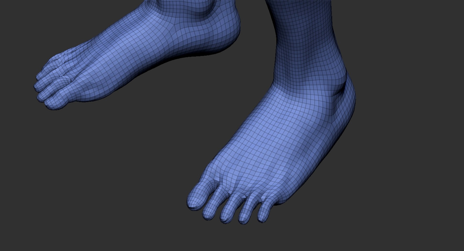 3D Human Muscular Body 2019 - TurboSquid 1440042