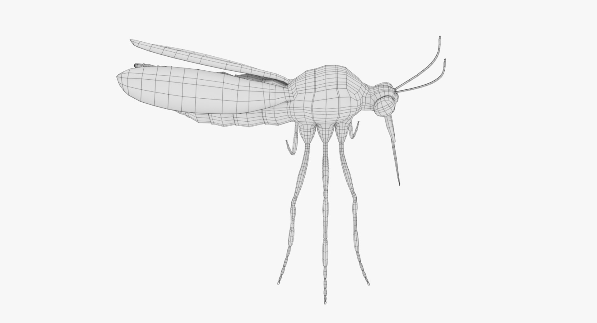 3D Mosquito Model - TurboSquid 1301893