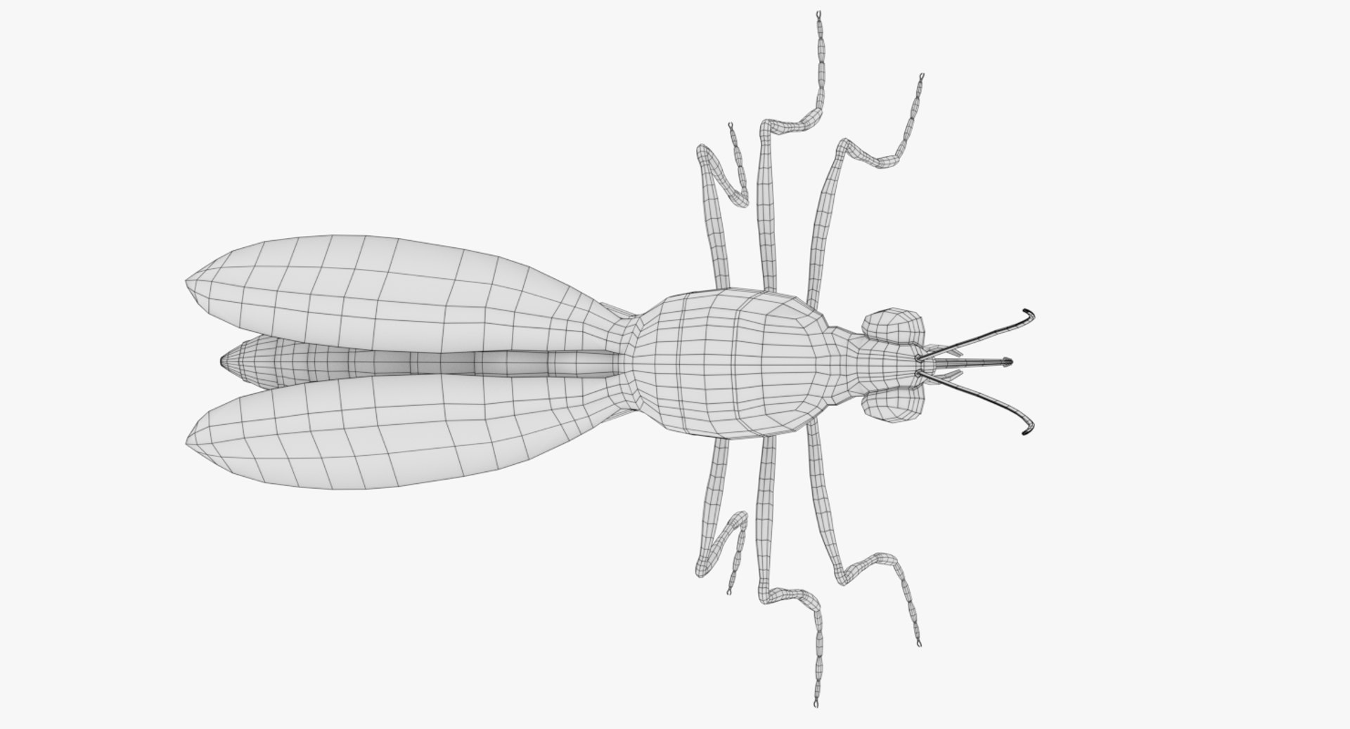 3D Mosquito Model - TurboSquid 1301893