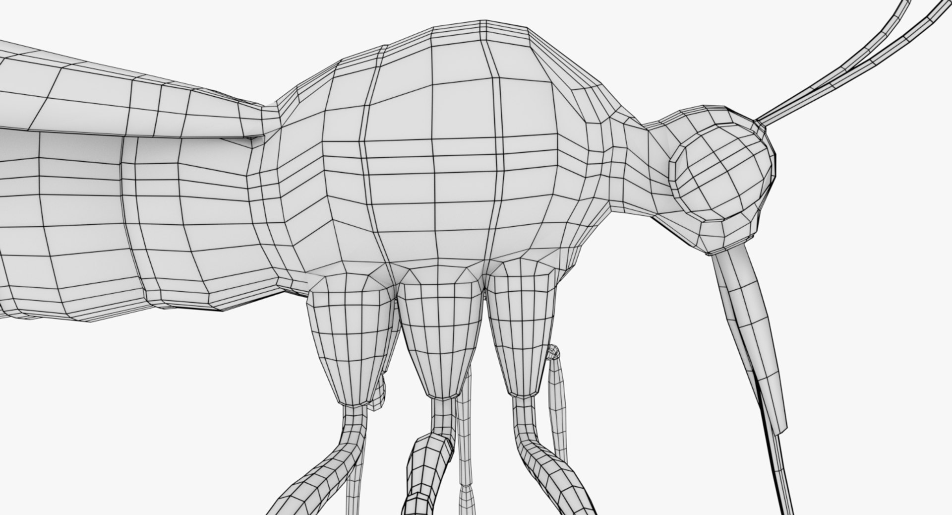 3D Mosquito Model - TurboSquid 1301893