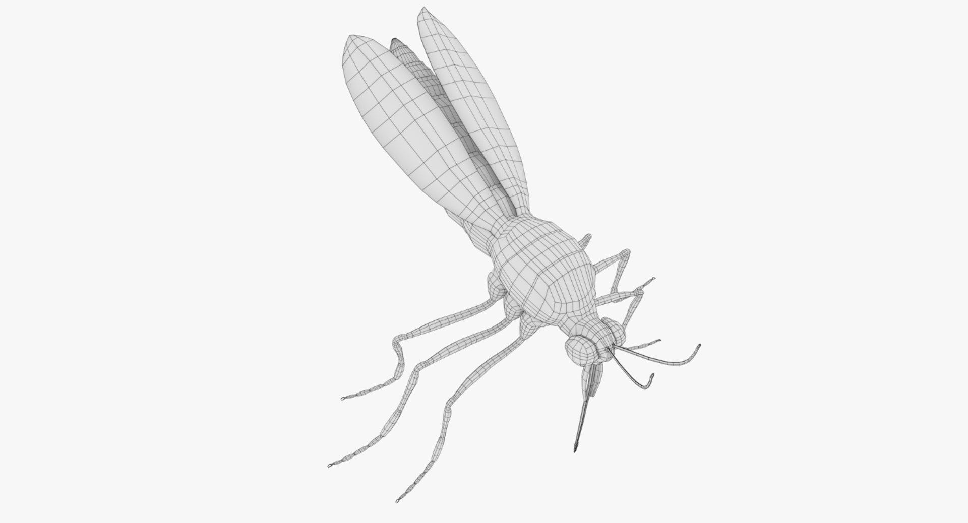 3D Mosquito Model - TurboSquid 1301893