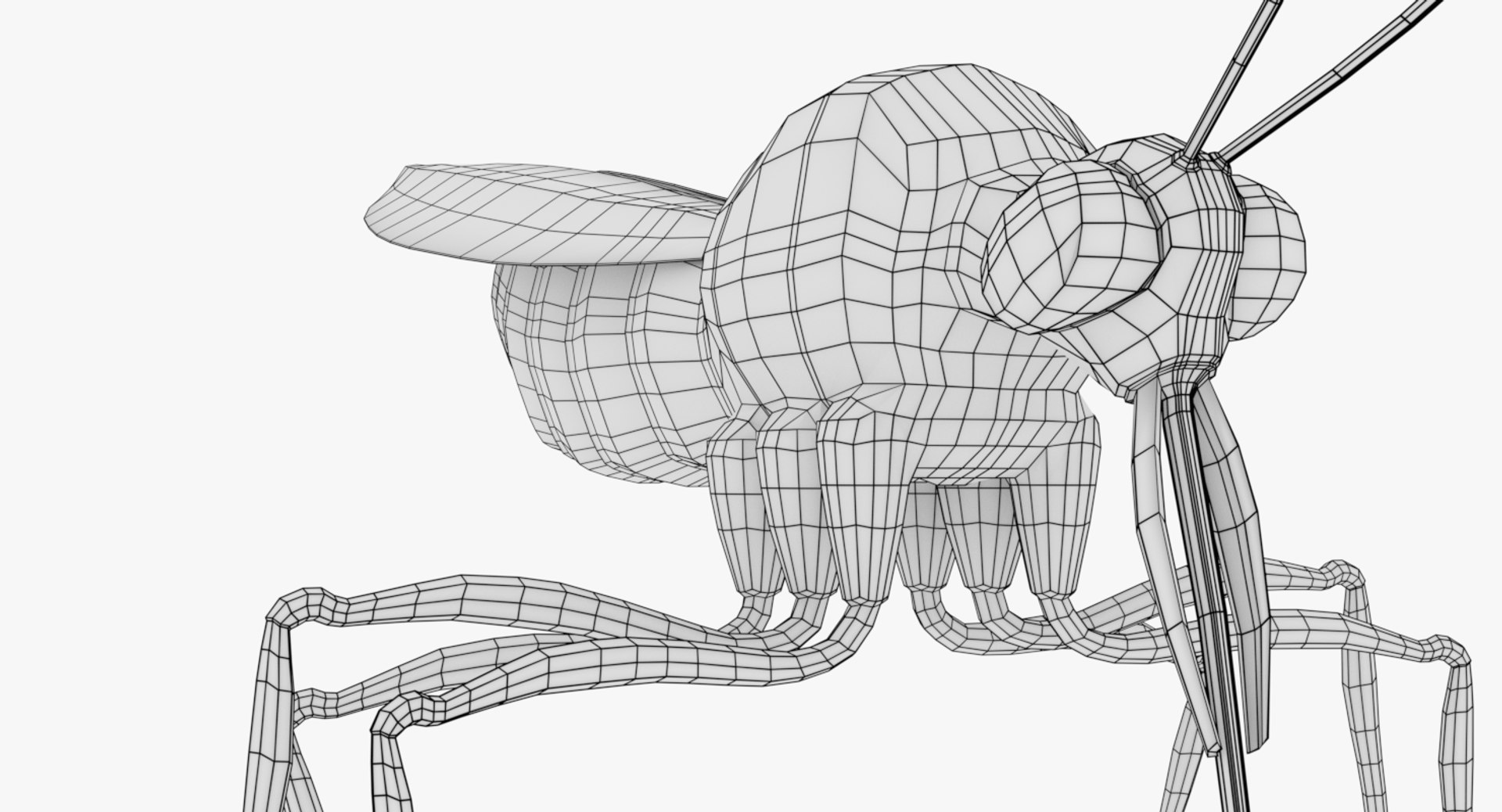 3D Mosquito Model - TurboSquid 1301893