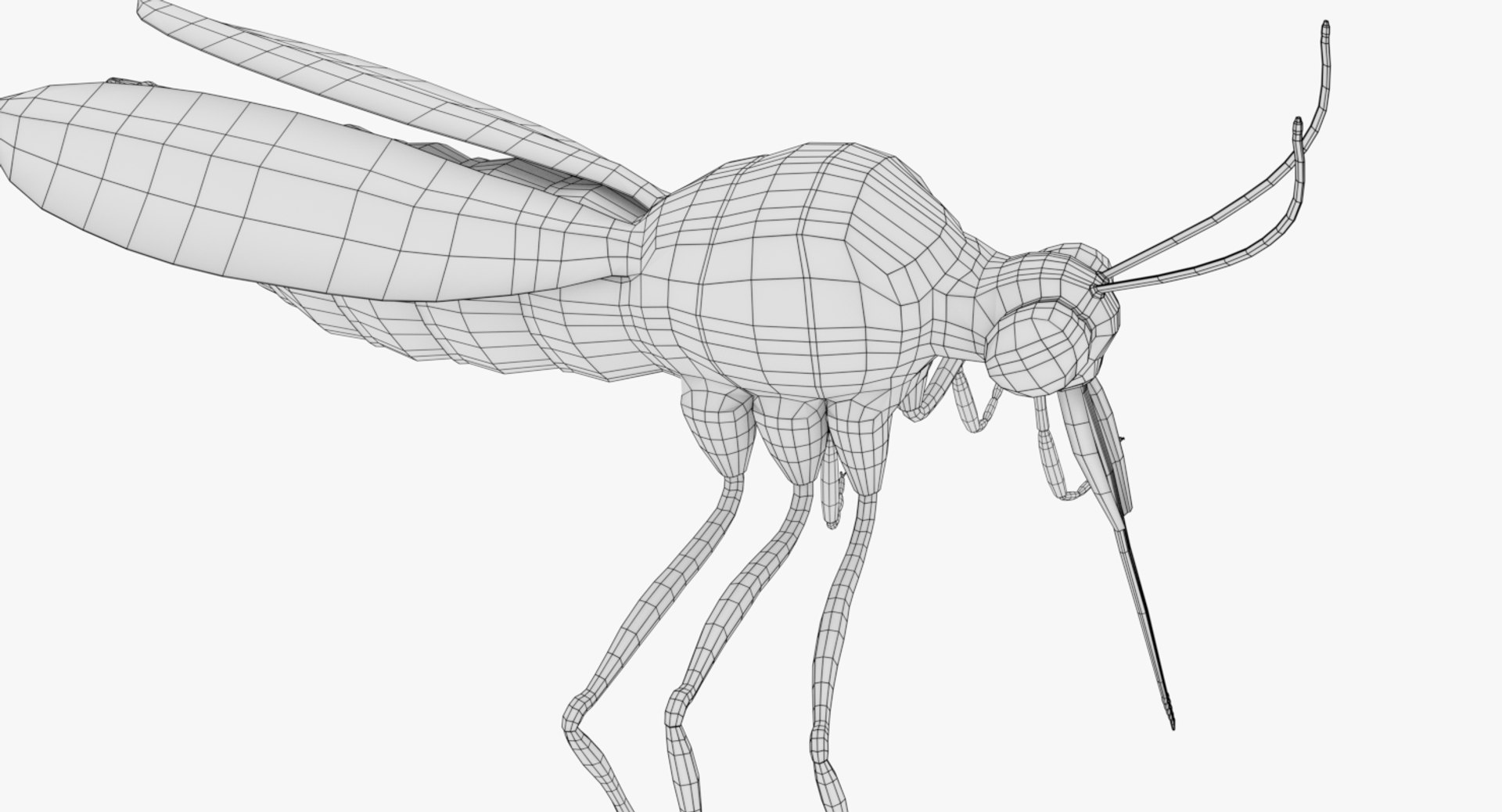 3D Mosquito Model - TurboSquid 1301893