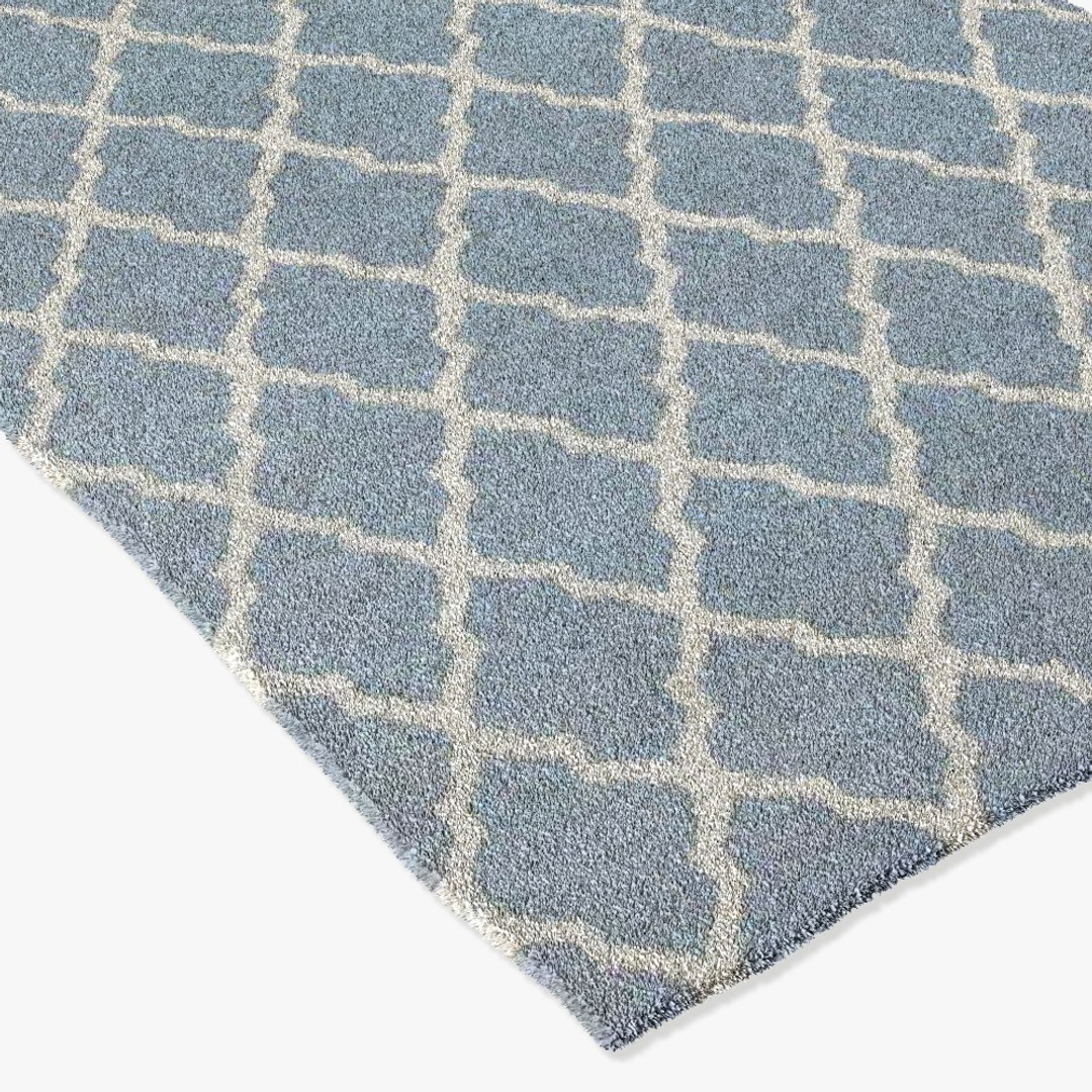 Rizzy Home Rugs Multi-colored 3d Model