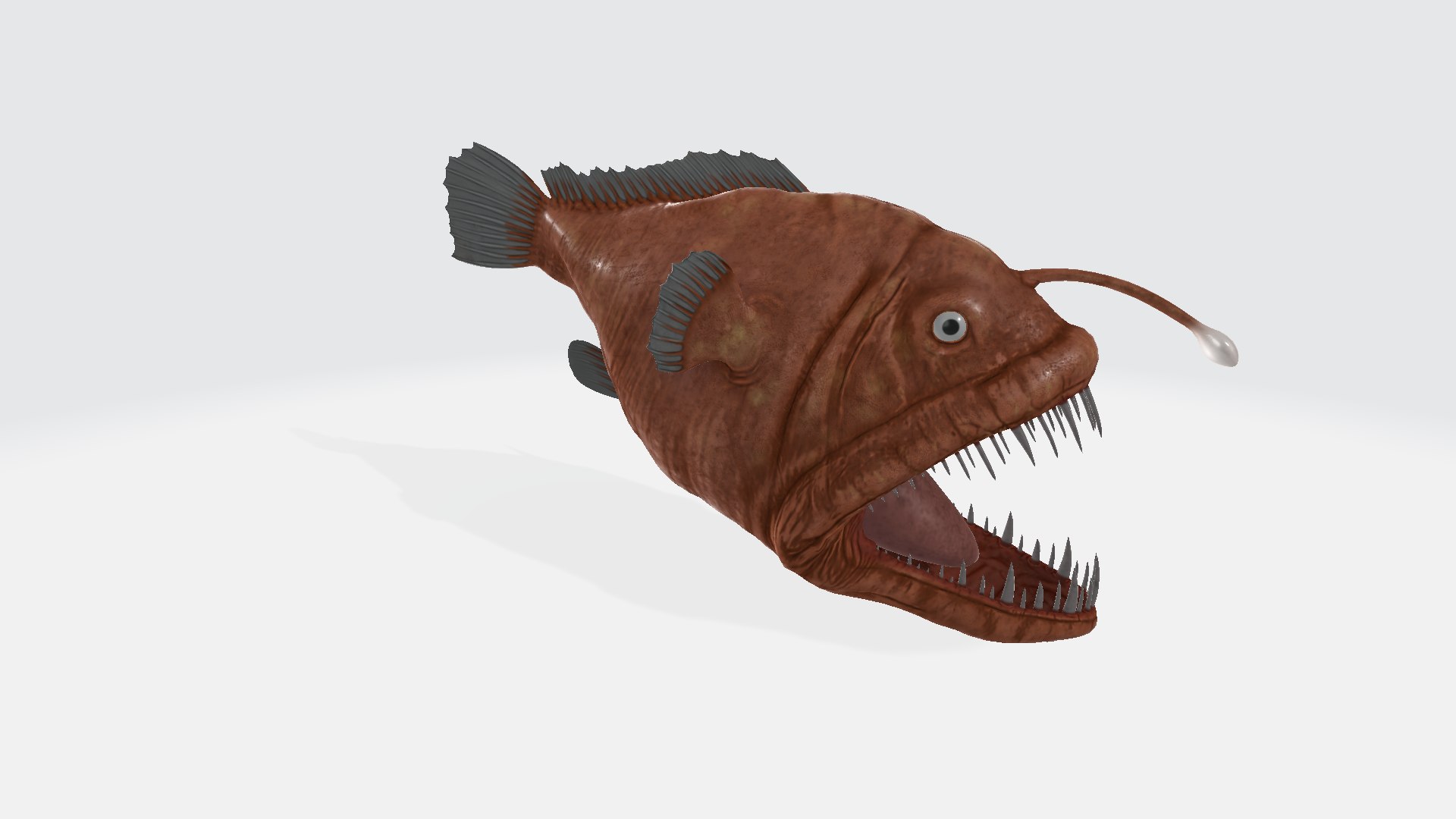 Angler Fish 3D Model - TurboSquid 2294953